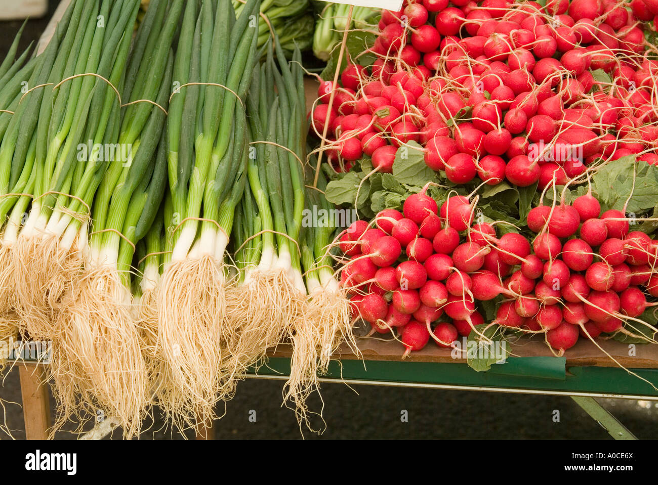 Bunches spring onions hi-res stock photography and images - Alamy