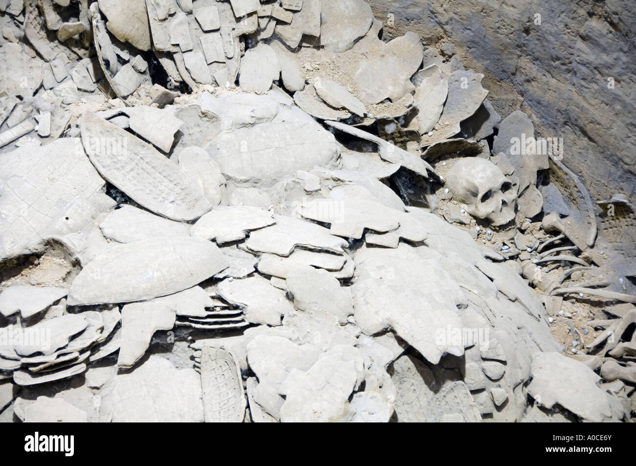 Shang dynasty oracle bone hi-res stock photography and images - Alamy