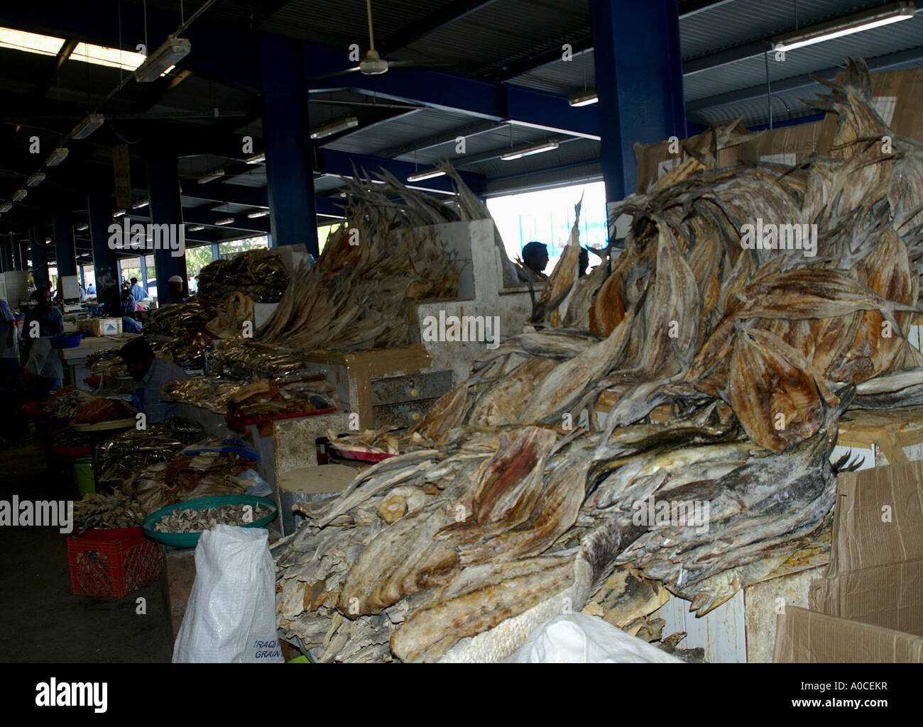 Dried fish in the fish market Dubai Stock Photo - Alamy