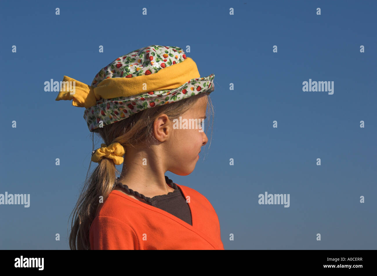 Warily hi-res stock photography and images - Alamy