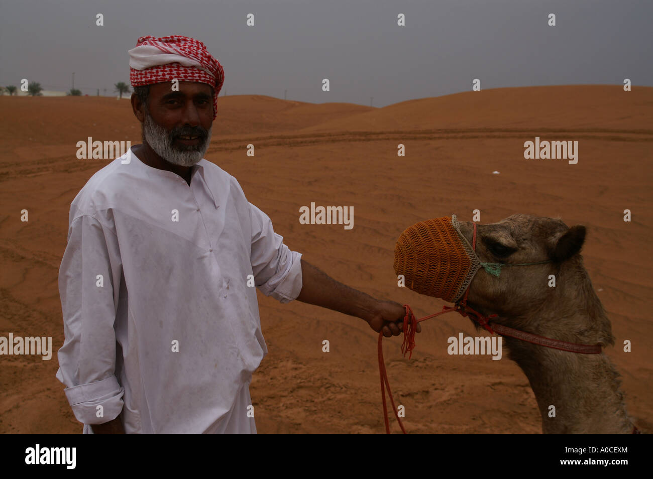 Camel Keeper High Resolution Stock Photography and Images - Alamy