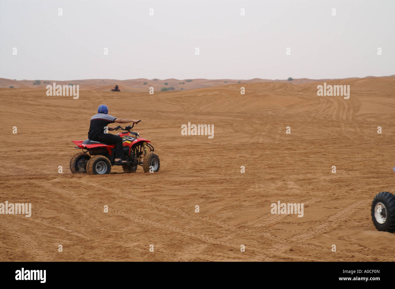 Riding a dune buggy Dubai UAE Stock Photo - Alamy
