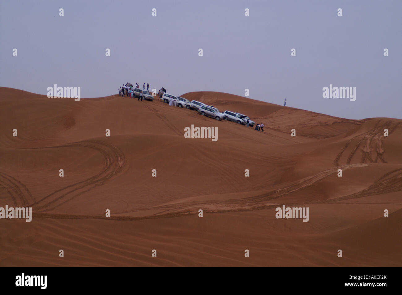 driving in desert Dubai UAE Stock Photo - Alamy