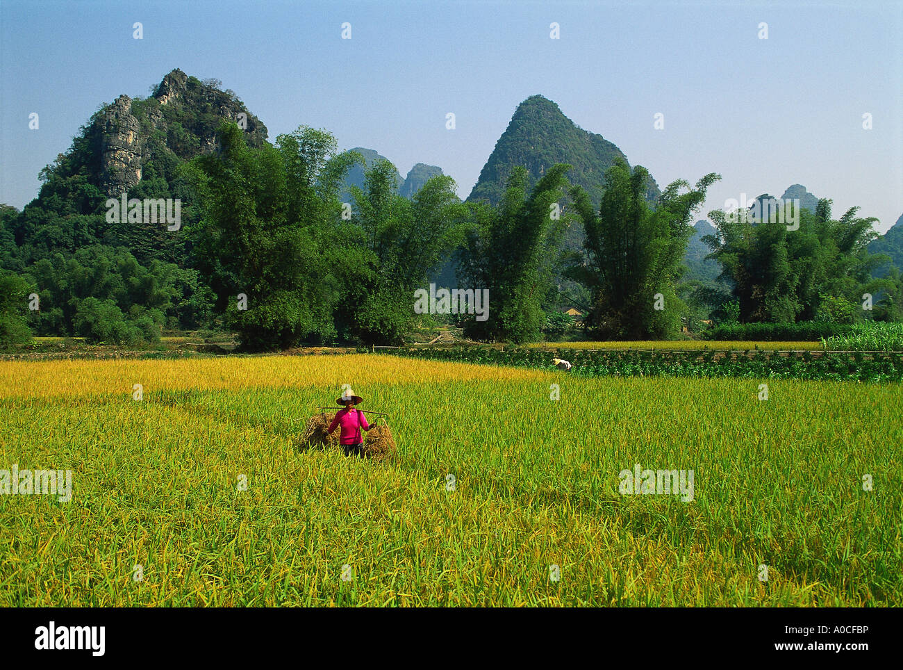 Around guilin hi-res stock photography and images - Alamy