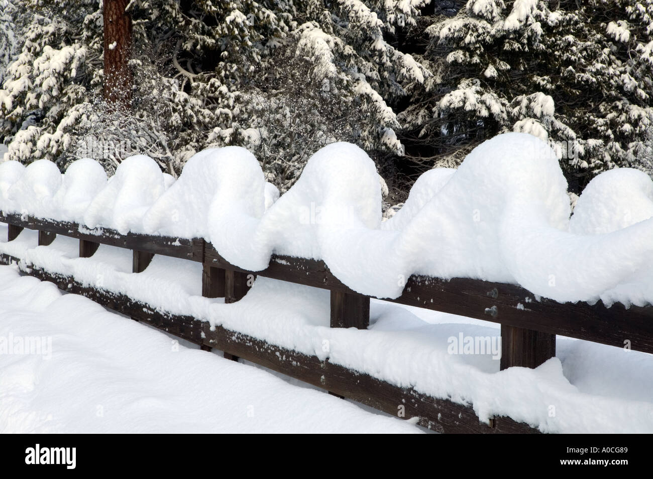 Snow pattern on rail of bridge at Wizard Falls Fish Hatchery Metolius ...