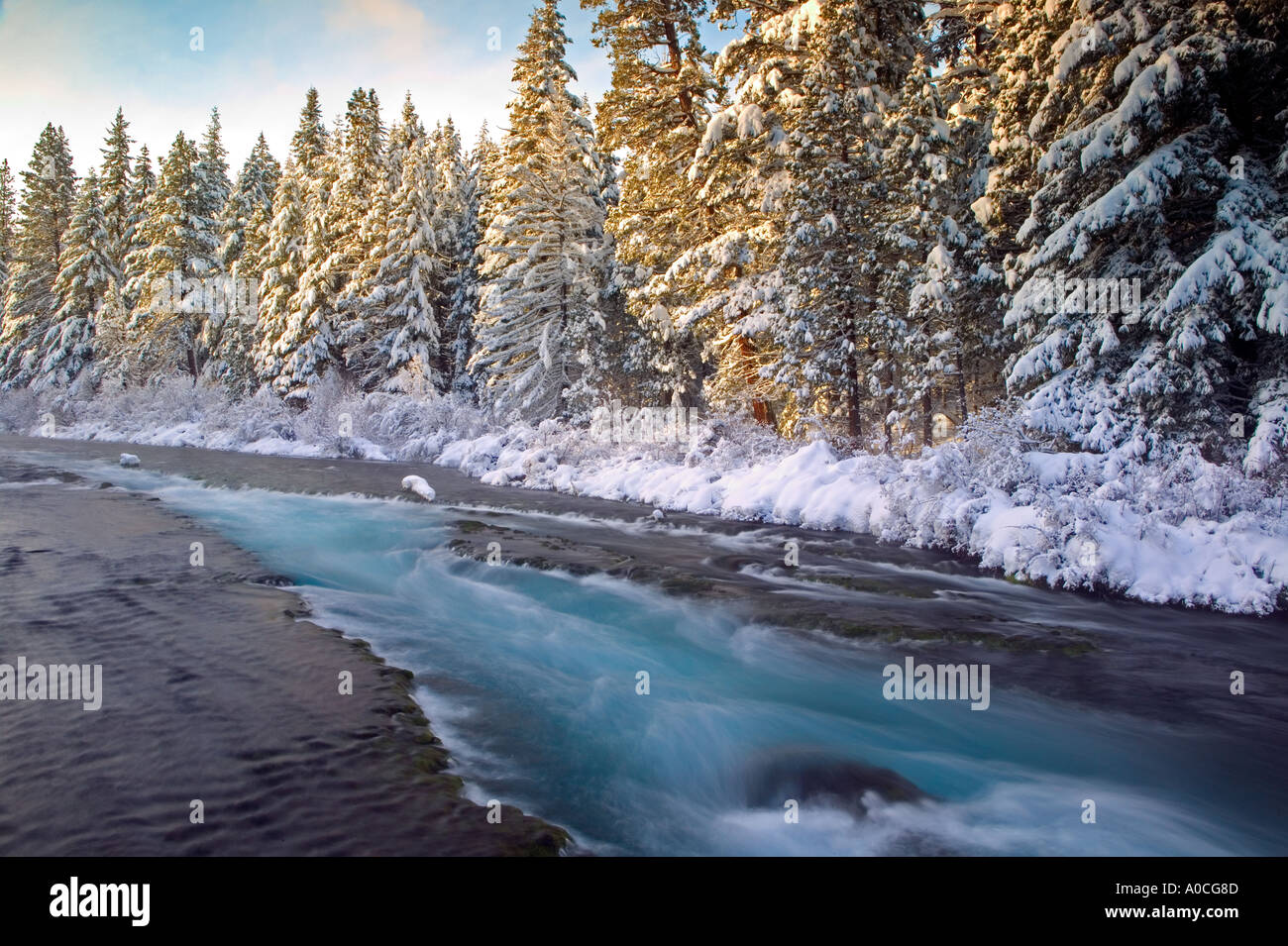 Snowfall at Wizard Falls Metolius River Oregon Stock Photo - Alamy