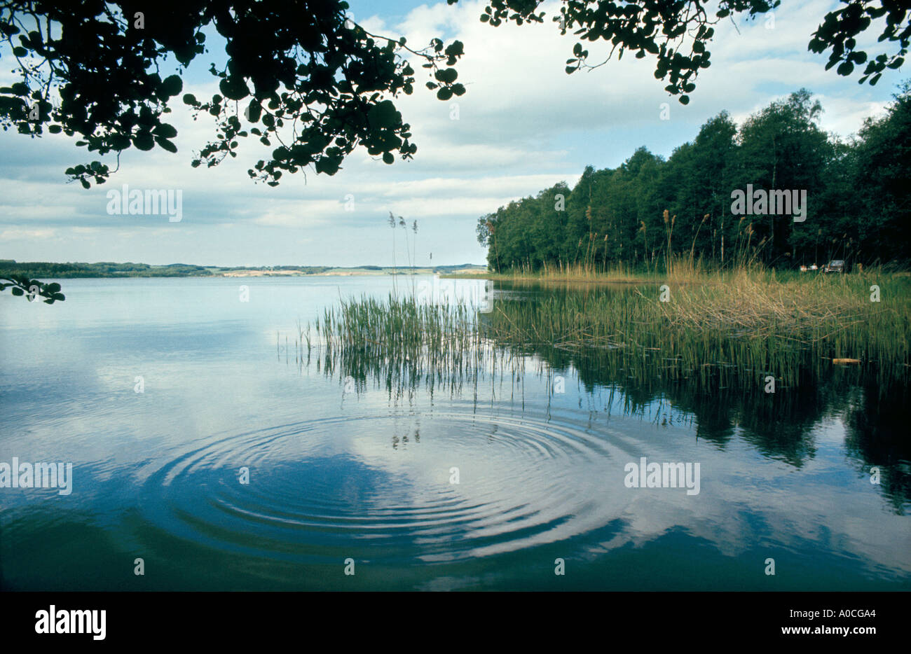 Lake in West Denmark Stock Photo - Alamy