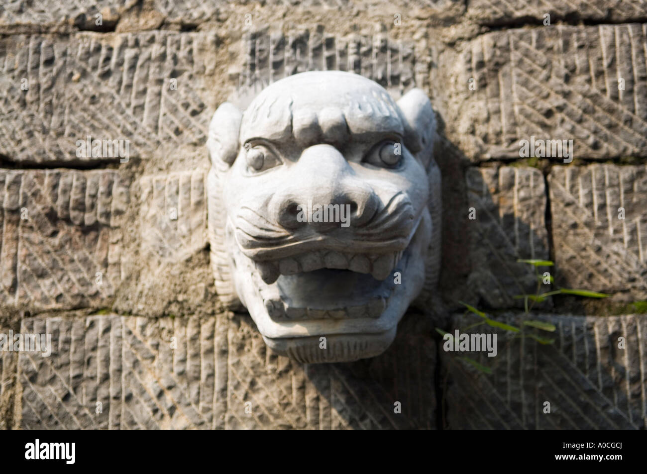 Lion sculpture carved on the wall in Shaolin Temple, hometown of ...