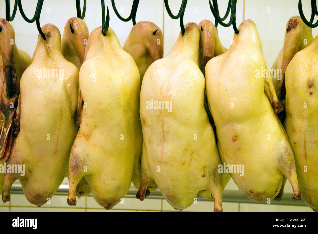 Roast crispy Peking duck in Beijing QuanJuDe restaurant Stock Photo - Alamy