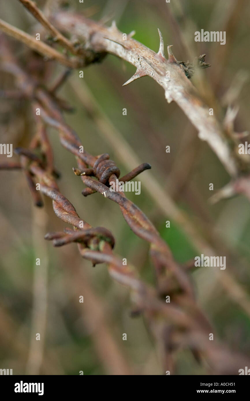 Nature versus man made hi-res stock photography and images - Alamy