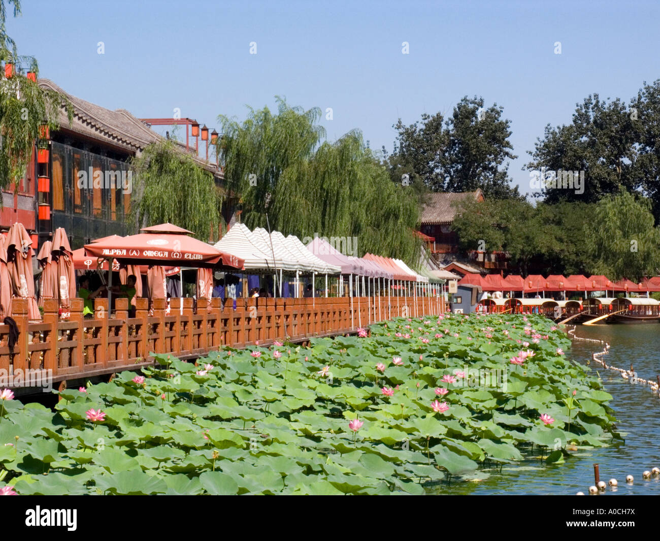 Lotus Lane Houhai Street a new bar restaurant street around Hutong area ...