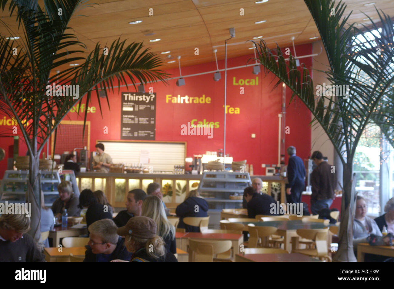 Eden project cafe hi-res stock photography and images - Alamy
