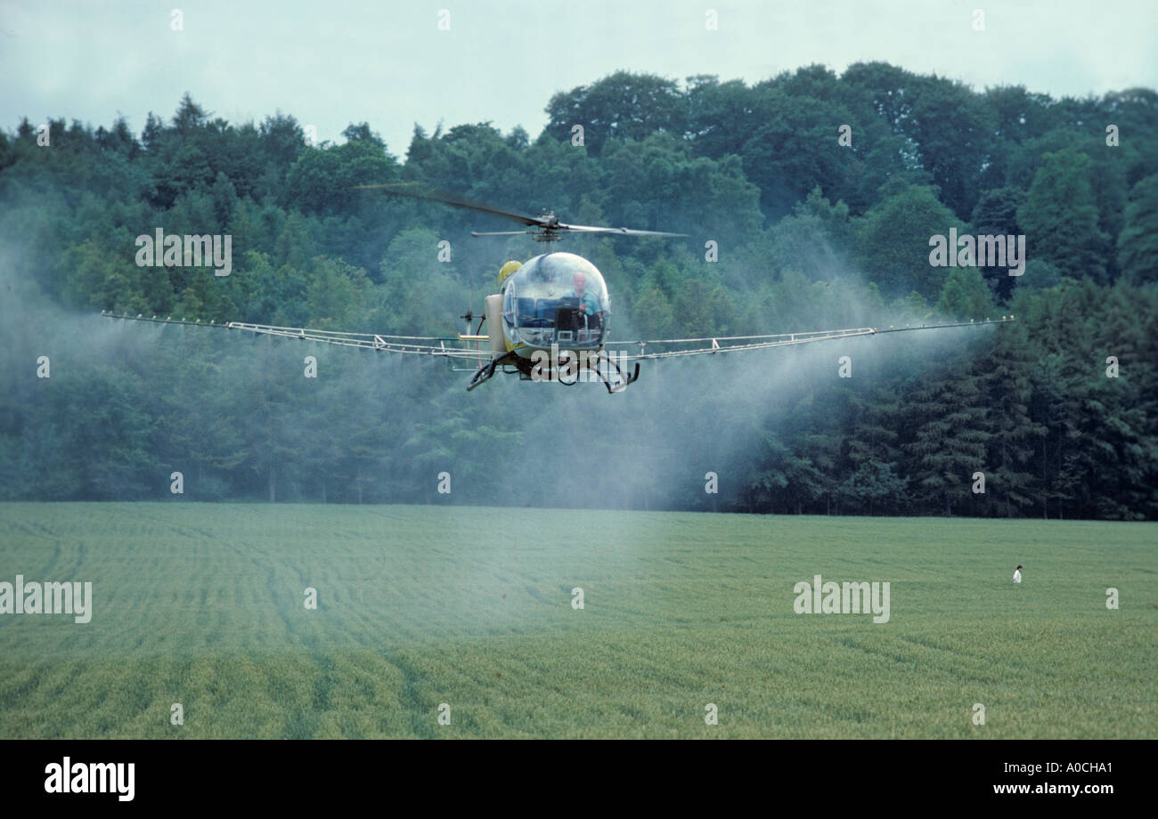Crop Spraying from helicopter Herts July Stock Photo - Alamy