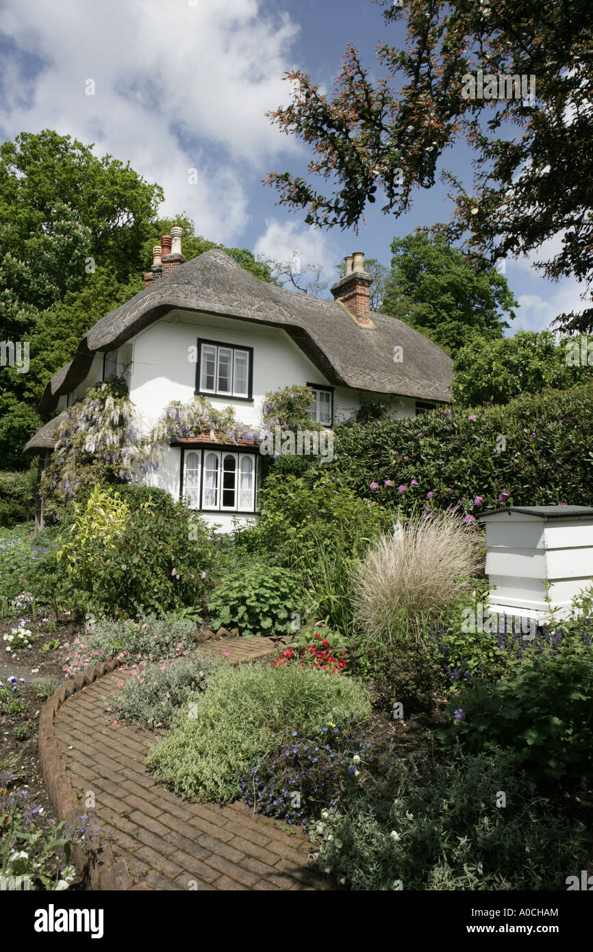 Beehive cottage the new forest hi-res stock photography and images - Alamy