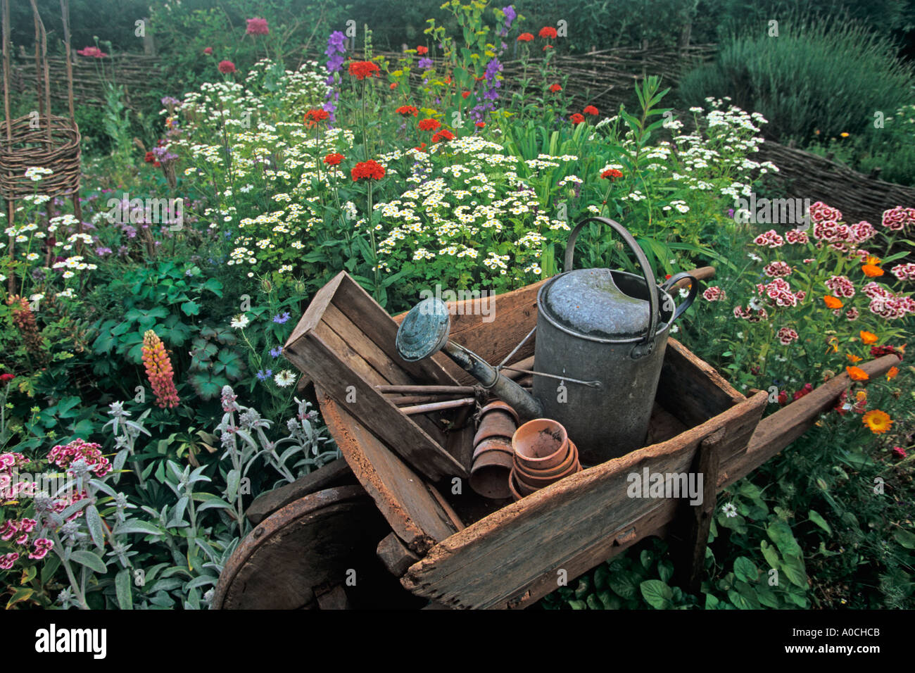 British garden insects hi-res stock photography and images - Alamy