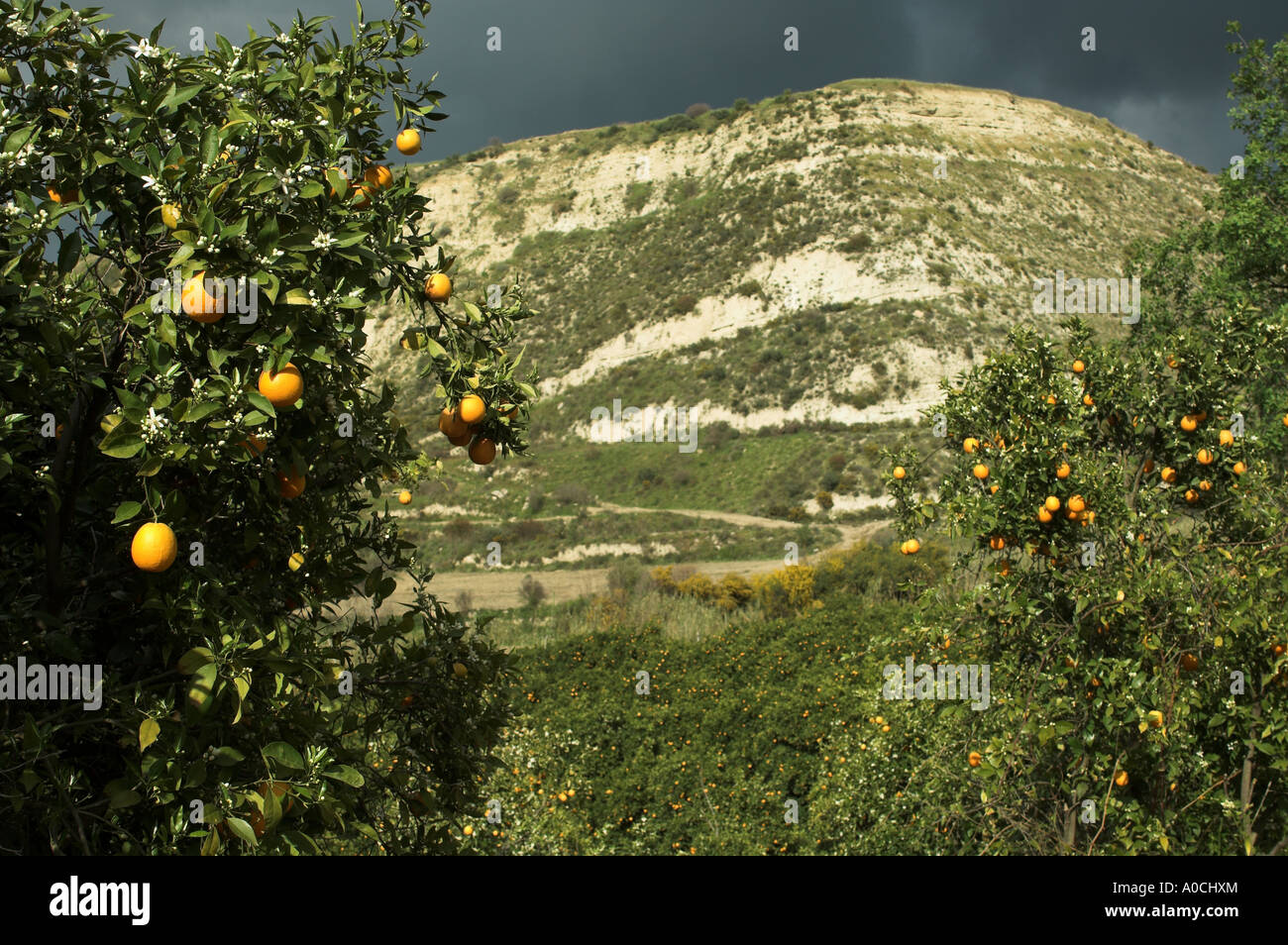 Orange region hi-res stock photography and images - Alamy