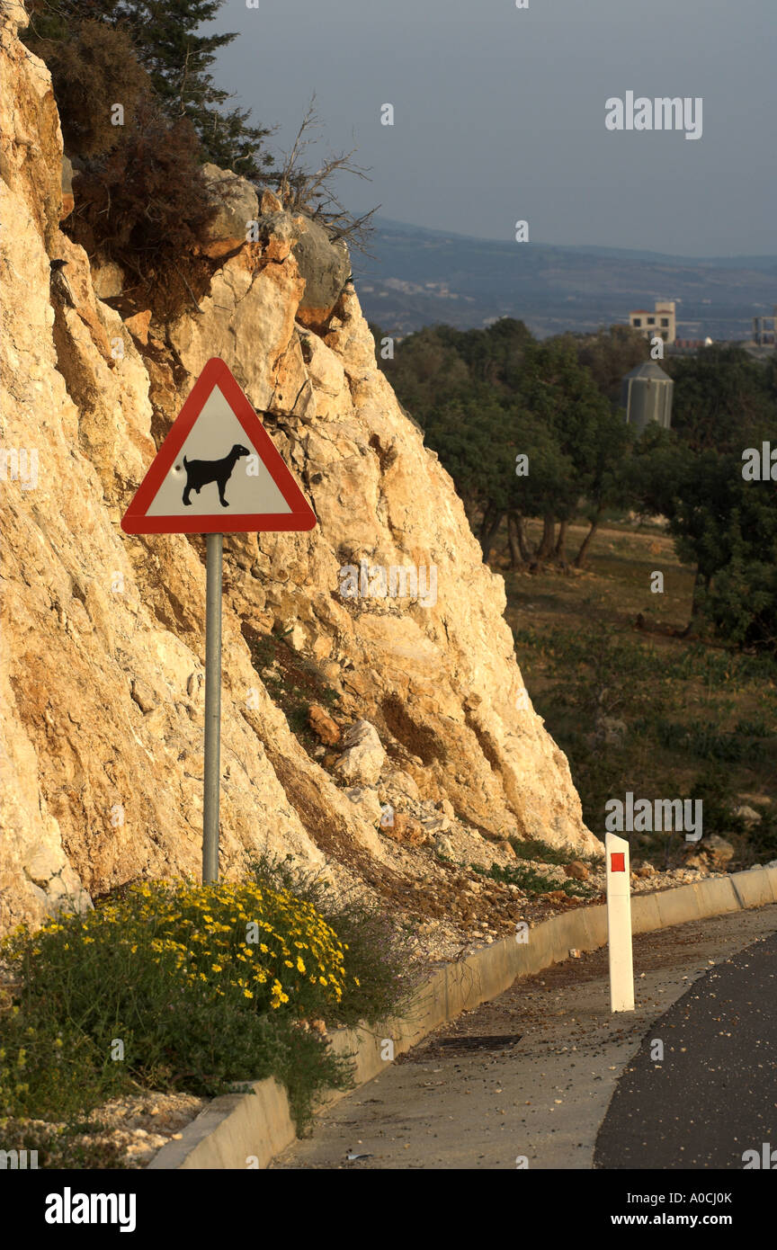 Goats on Road sign Cyprus Stock Photo - Alamy