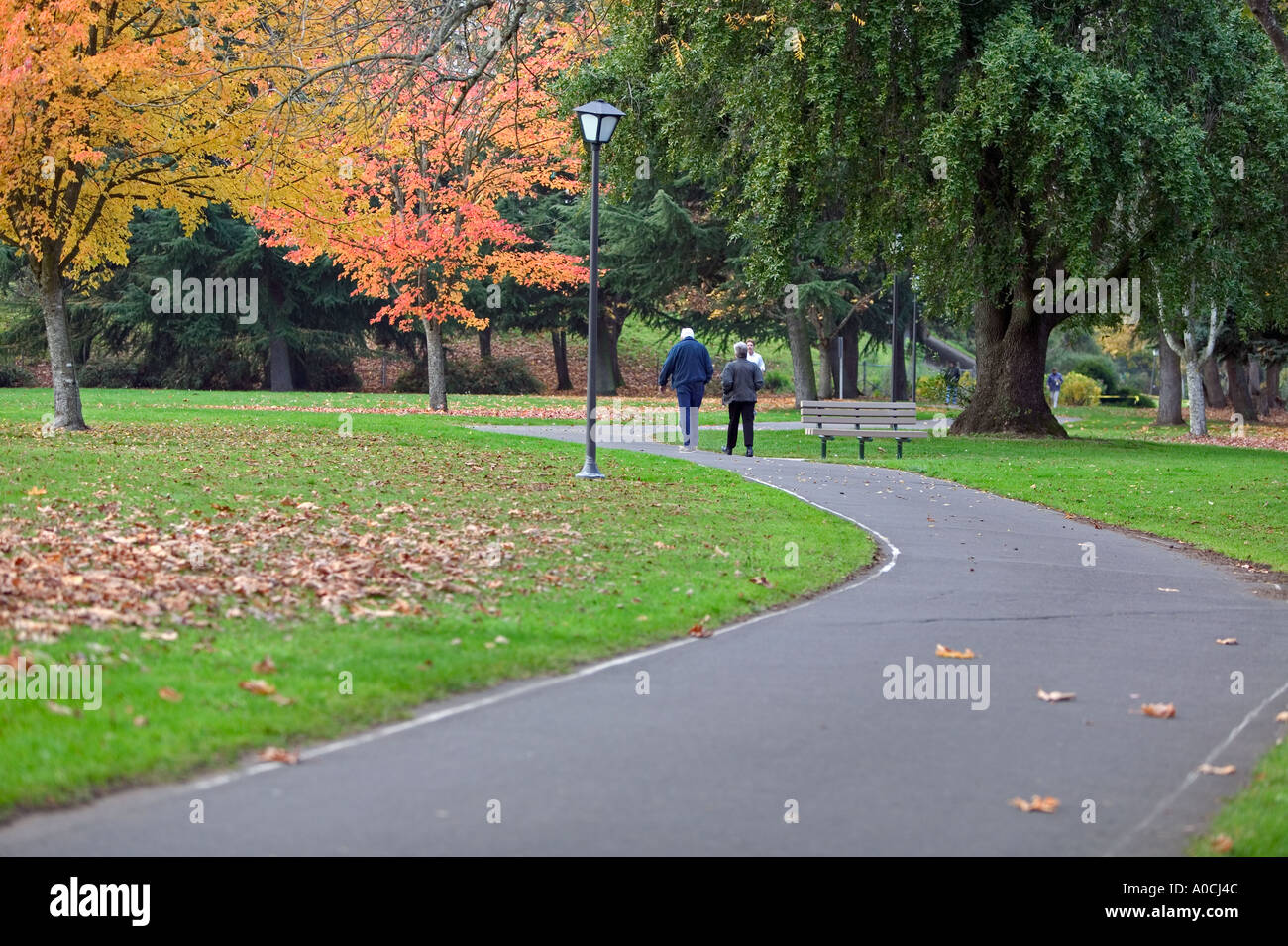 Path with walkers in Skinner Butte Park Eugene Oregon Stock Photo - Alamy