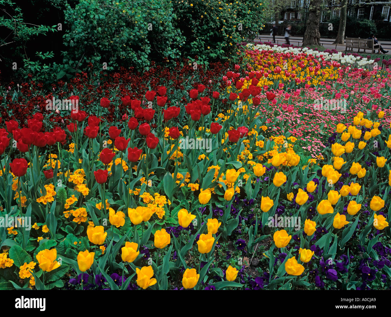 Spring park in city hi-res stock photography and images - Alamy