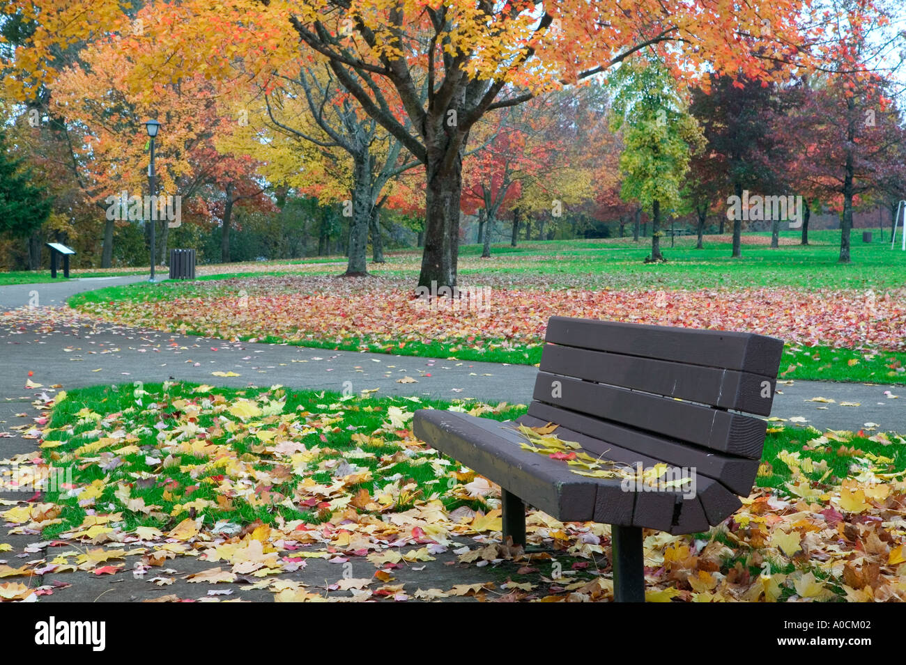 Path with bench and fall color in Skinner Butte Park Eugene Oregon ...