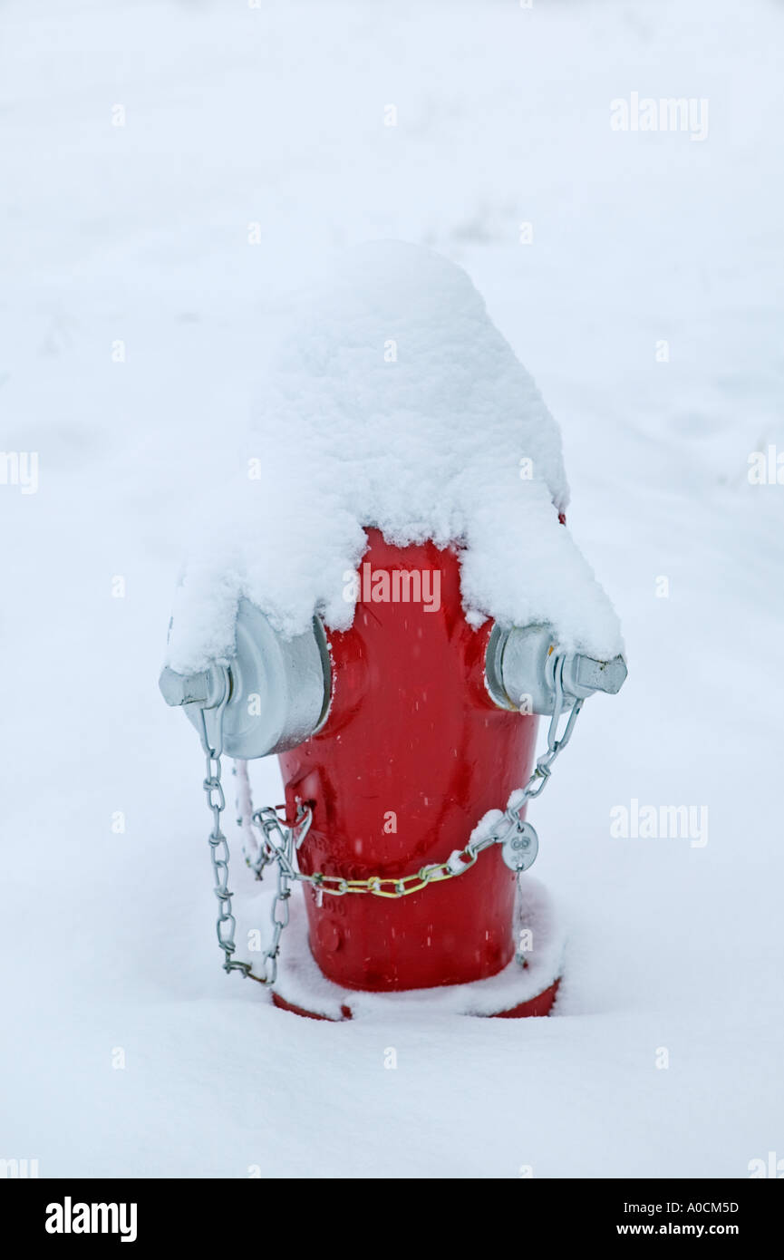 Fire hydrant with snow in Lostine Oregon Stock Photo - Alamy