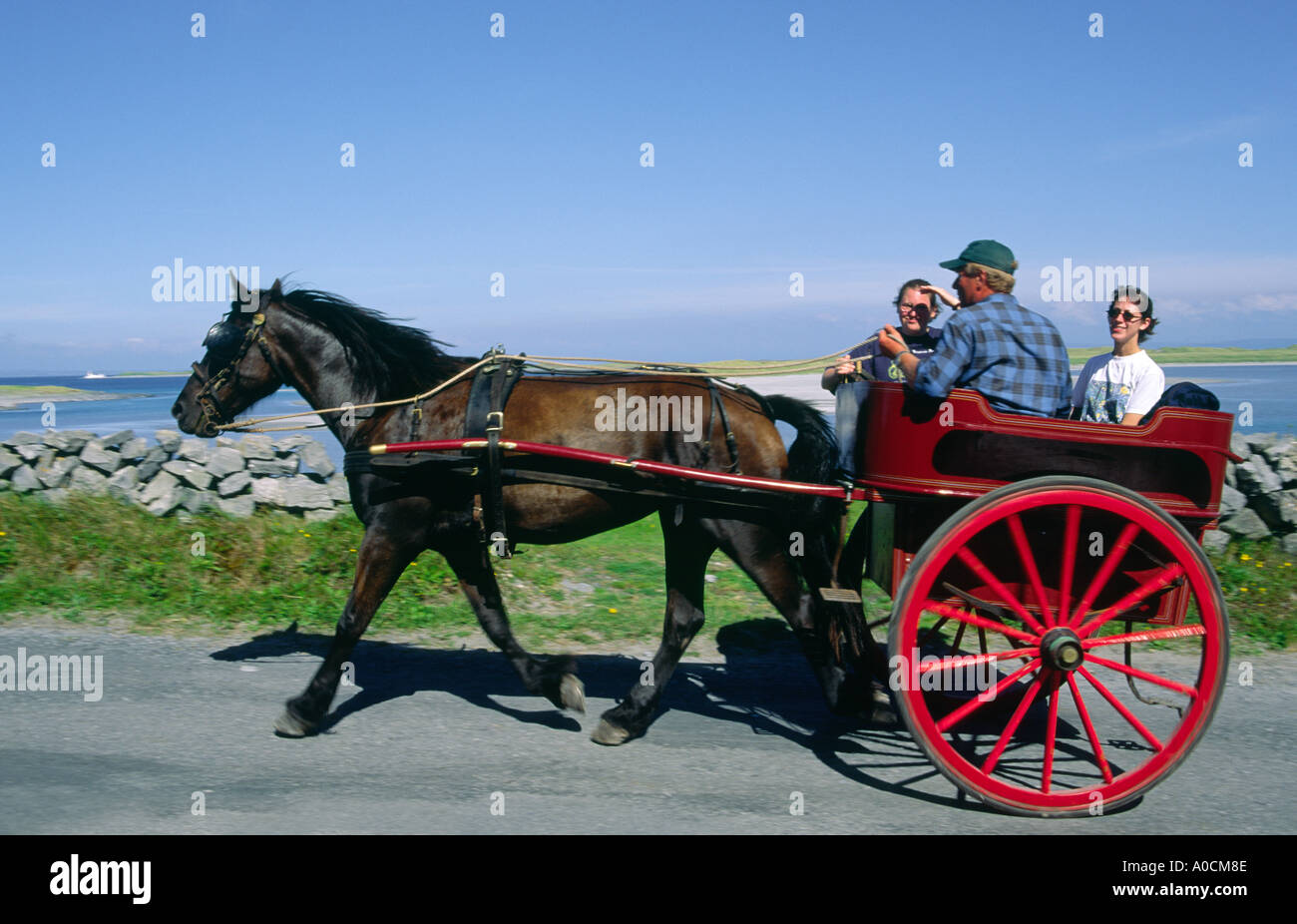 Traditional Irish horse drawn jaunting car as taxi at Kilronan on the ...