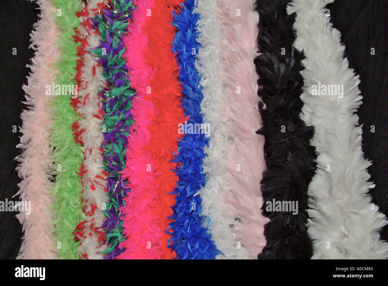 A collection of colored feather boas against a black background Stock ...