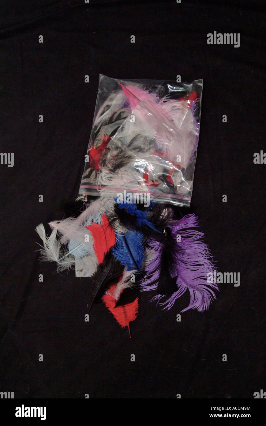 A collection of colored feathers in a plastic bag against a black ...