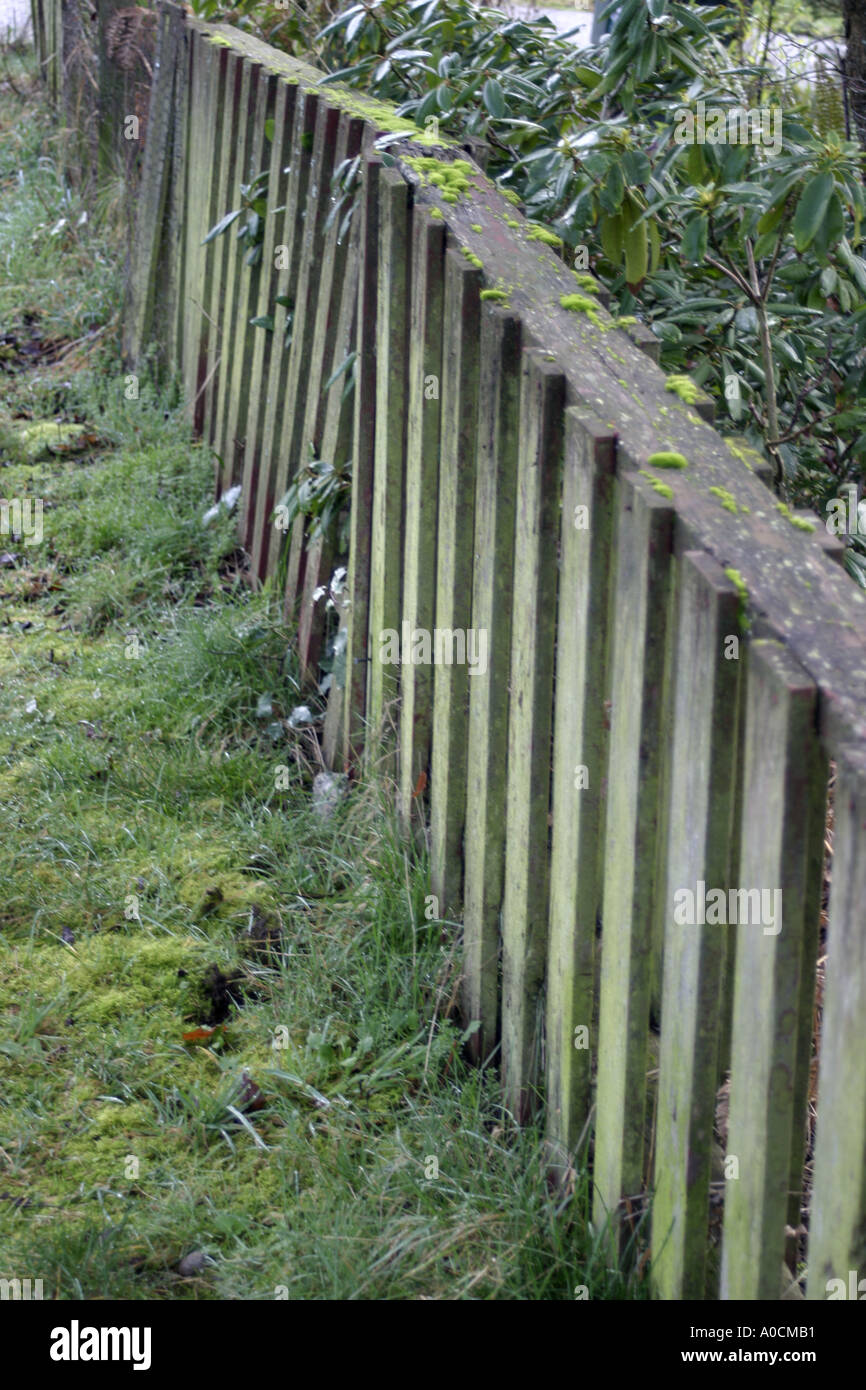 moss covered weathered wooden fence on a suburban Seattle yard Stock ...