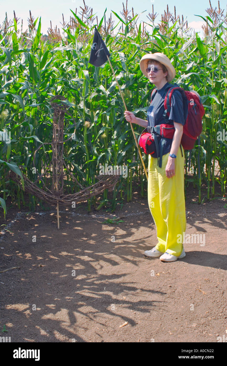 Trying to solve the Great Western Maize Maze at Newton Farm Newton St ...