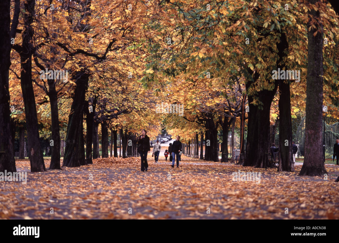 Geneva autumn hi-res stock photography and images - Alamy