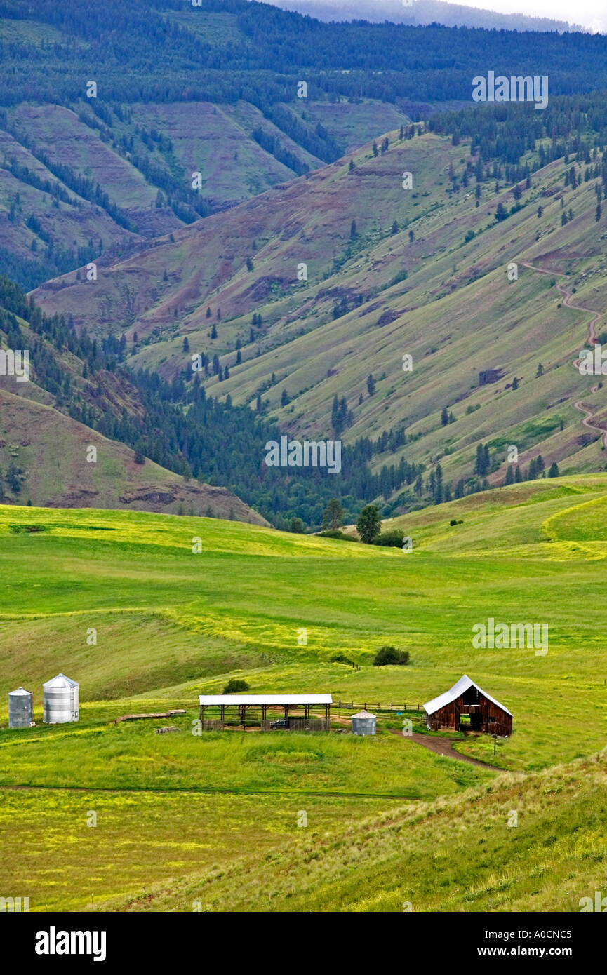 Farm in valley near Troy Oregon Stock Photo - Alamy