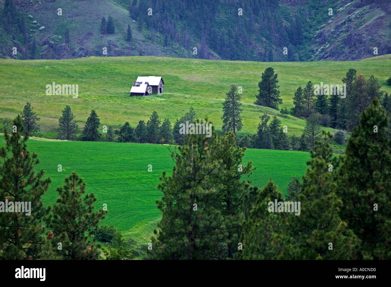 Troy oregon hi-res stock photography and images - Alamy