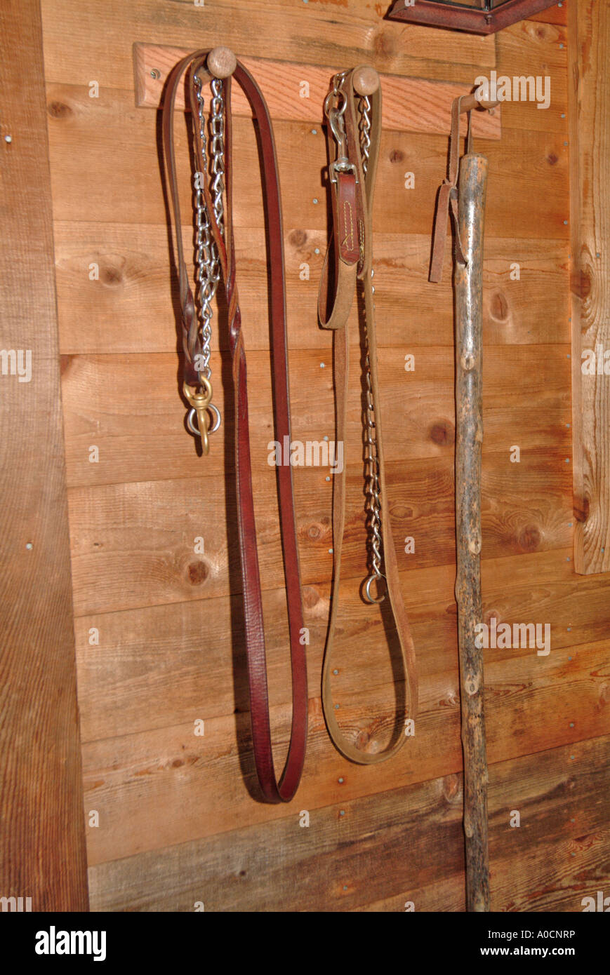 Dog leashes and a walking stick hang in a rustic mud room in Sonoma ...