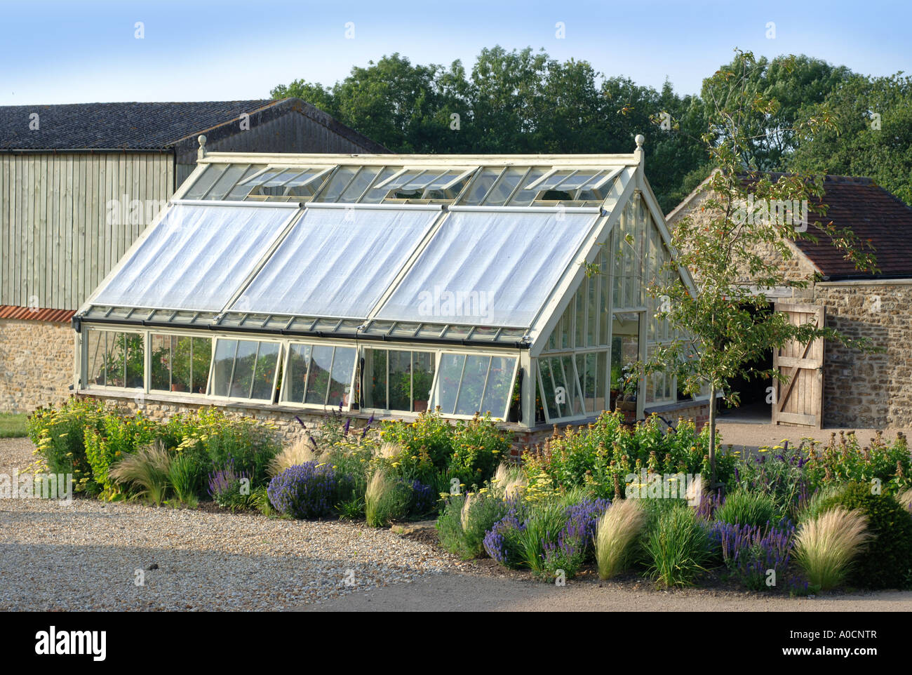 A TRADITIONAL GREENHOUSE WITH BORDERS OF YELLOW ACHILLEA FLOWERS AND ...