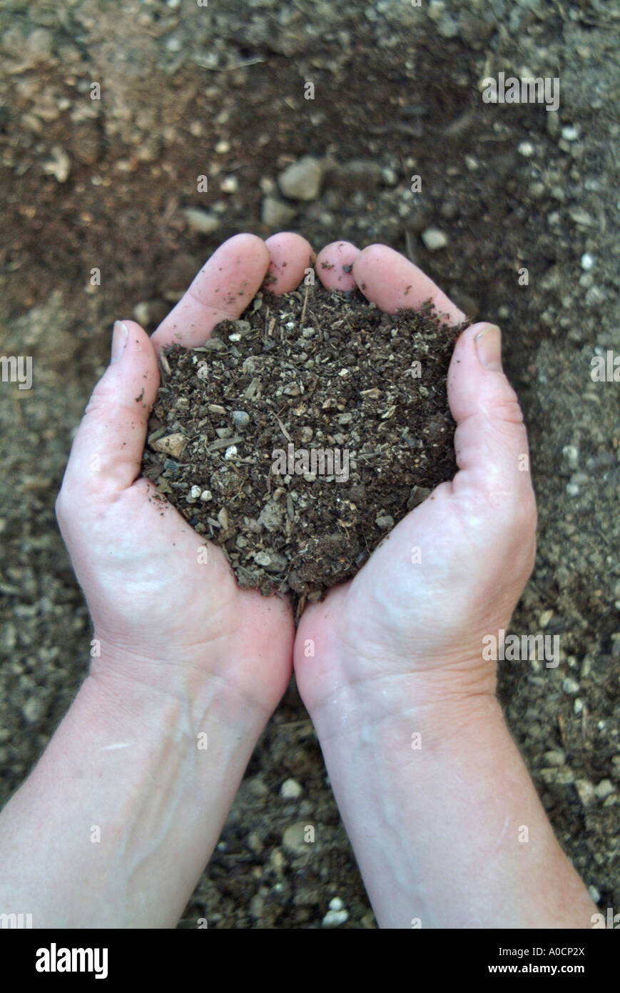 Cupped Hands with dirt in them Stock Photo - Alamy