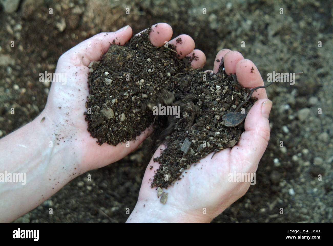 Hands them hi-res stock photography and images - Alamy