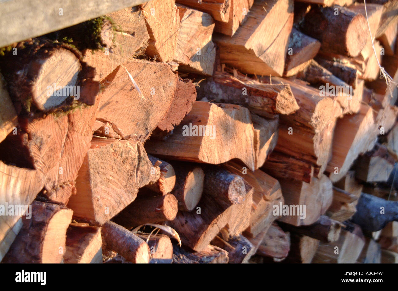 A stack of cut and split firewood Stock Photo - Alamy