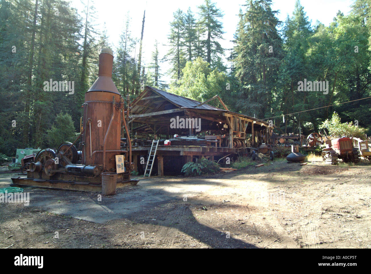 Sturgeons Mill in Occidental California with a steam donkey on the left ...