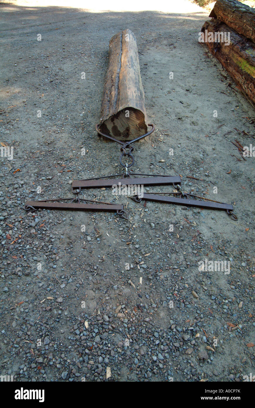 A metal yoke to attach a horse team of 2 horses to a log at a saw mill ...