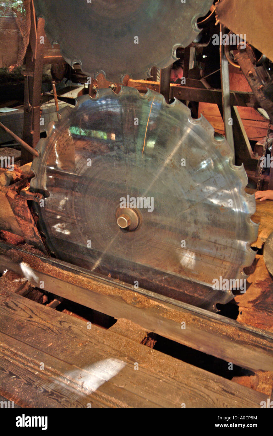 A closeup of the upper and lower circular saw blades at a saw mill in ...