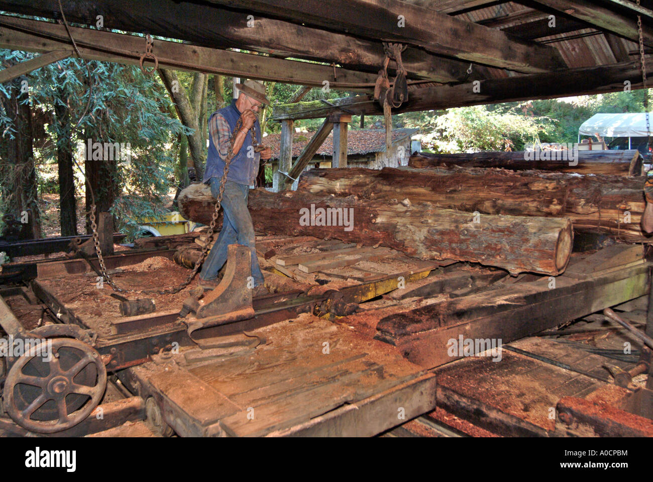 Saw mill worker hi-res stock photography and images - Alamy