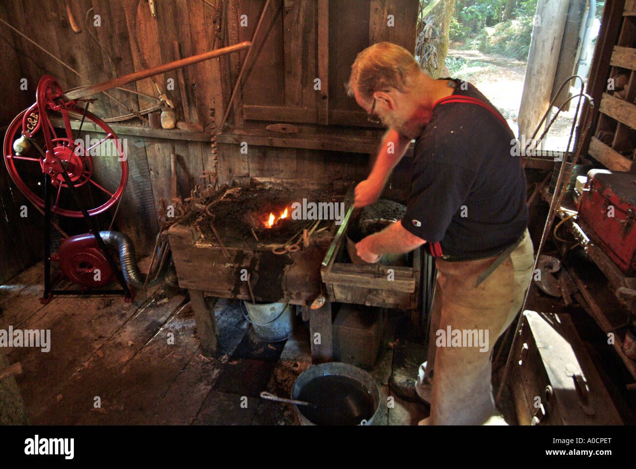 A blacksmith prepares the coal fed fire before working on a metal tool ...