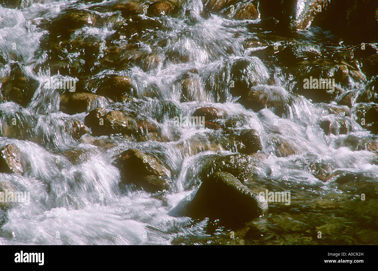 Noguera Pallaresa River. Detail. Lleida Province. Pyrenees. Catalonia ...