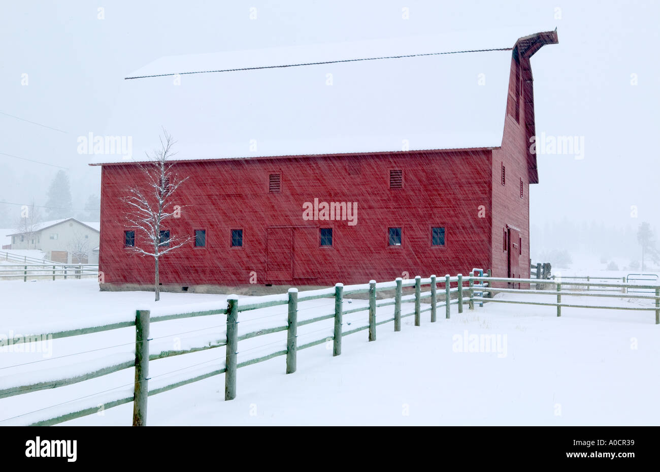 Barn with snow and fence Near Joseph Oregon Stock Photo - Alamy