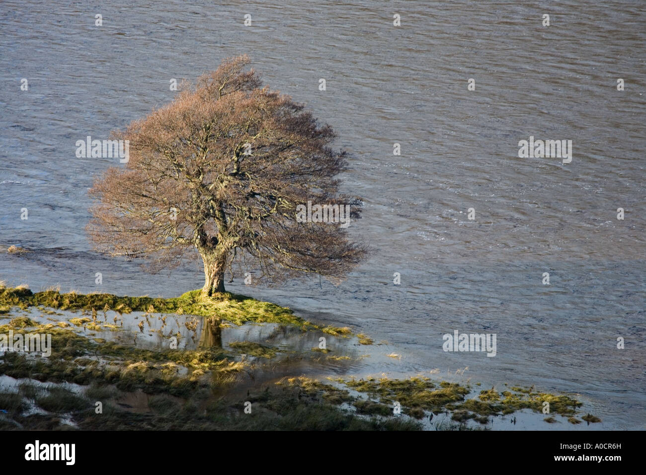 Flooding river dee hi-res stock photography and images - Alamy