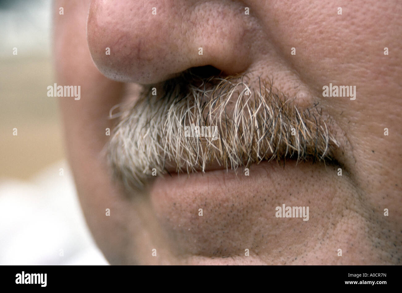 Moustache facial hair hi-res stock photography and images - Alamy