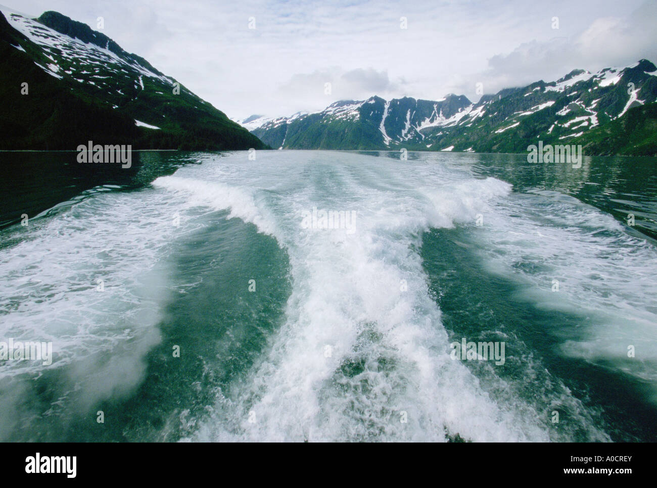 Large wake of boat in the water of Holgate Arm Fjord off Kenai ...