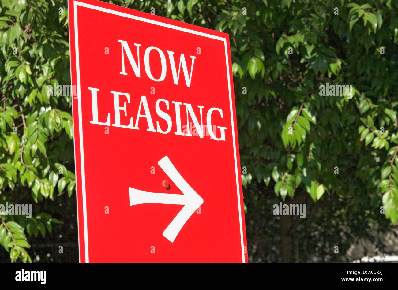 Now leasing sign Stock Photo - Alamy