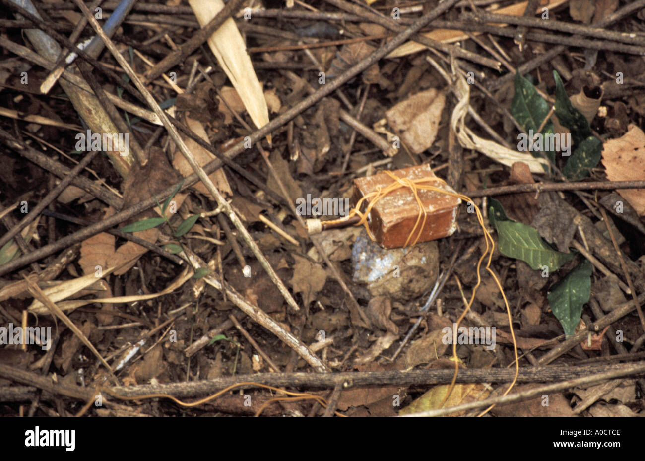 Bombies hi-res stock photography and images - Alamy